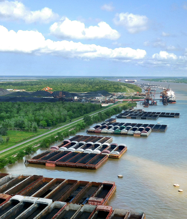 specialized services